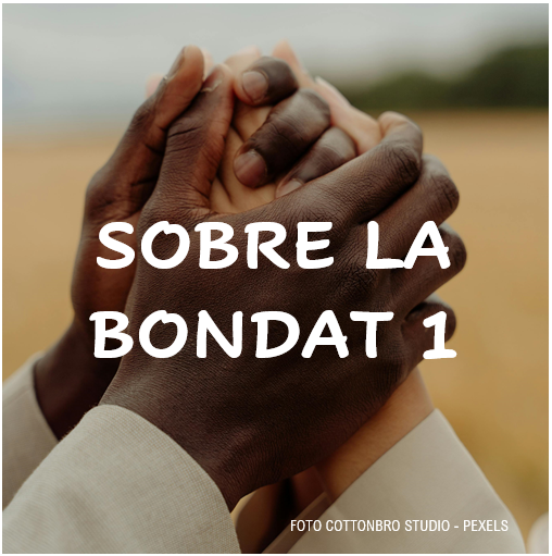 QUÈ ÉS LA BONDAT?… I MÉS – lasolidaritatunbonremei.com